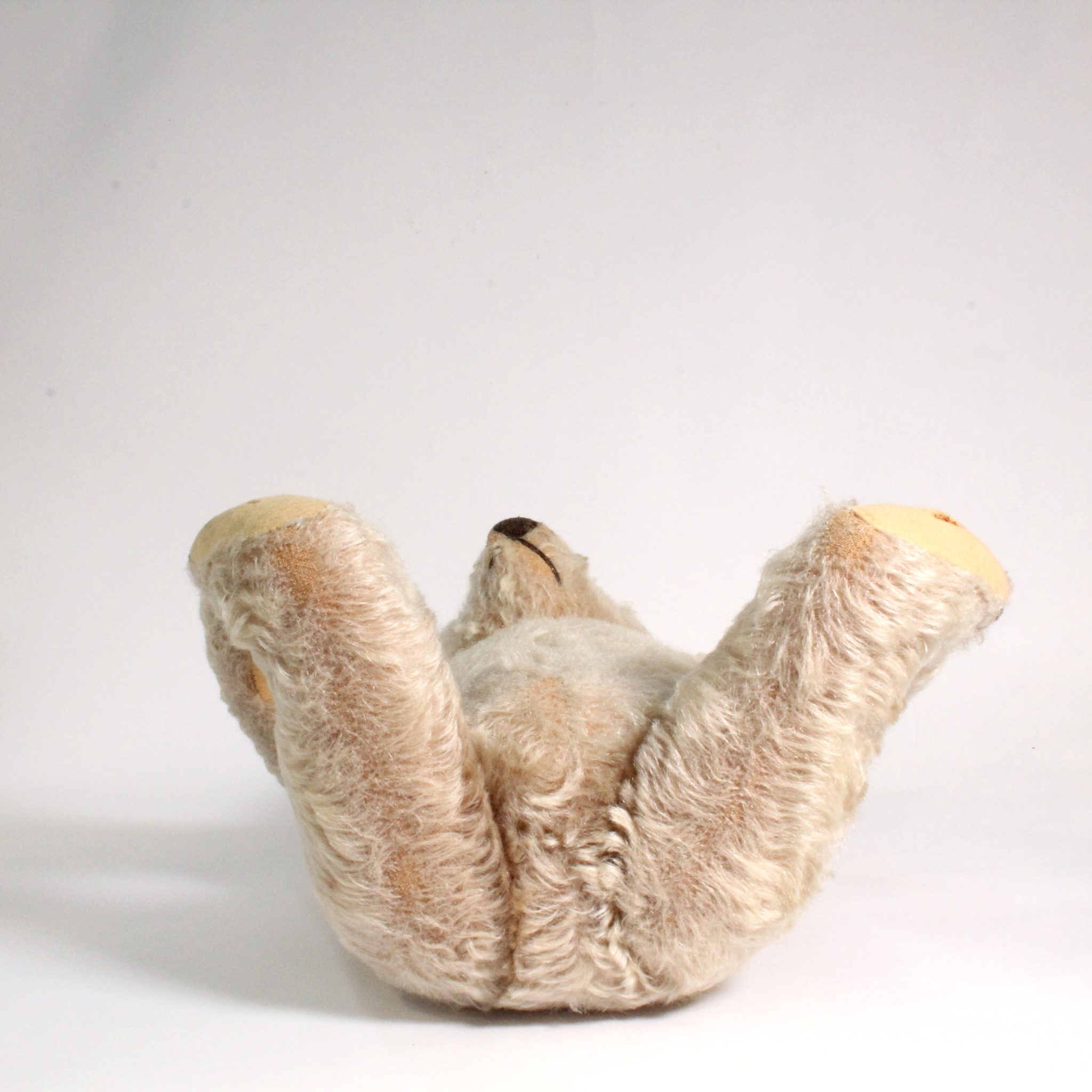 Old Steiff Bear Growler - Camberwell Antique Centre